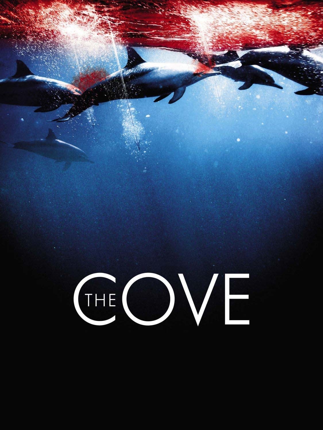 Discover where The Cove has been filmed